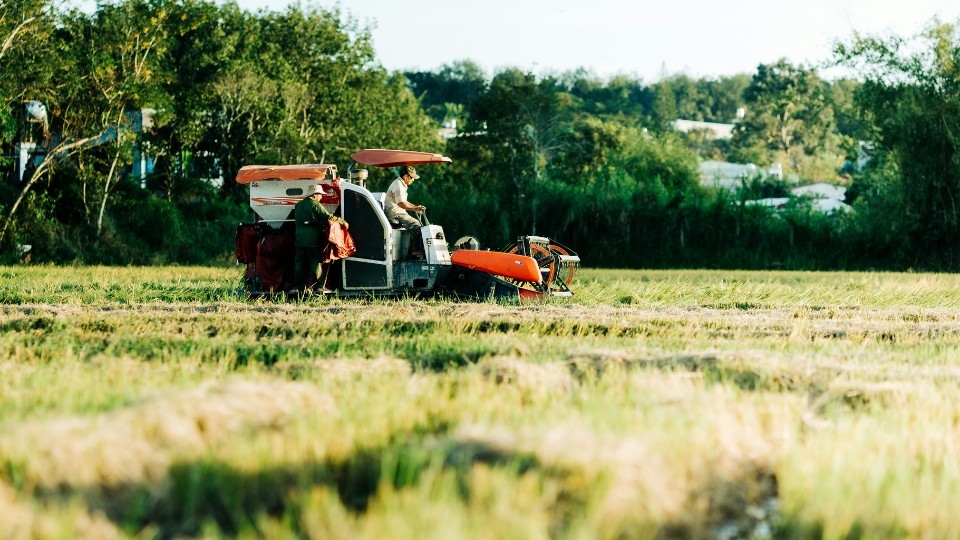 Why Tractor Performance Matters for Farm Operations | ArticleCube