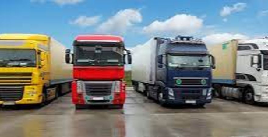 How to Make Money with Your Largest Exporter of Pulses in the World ...