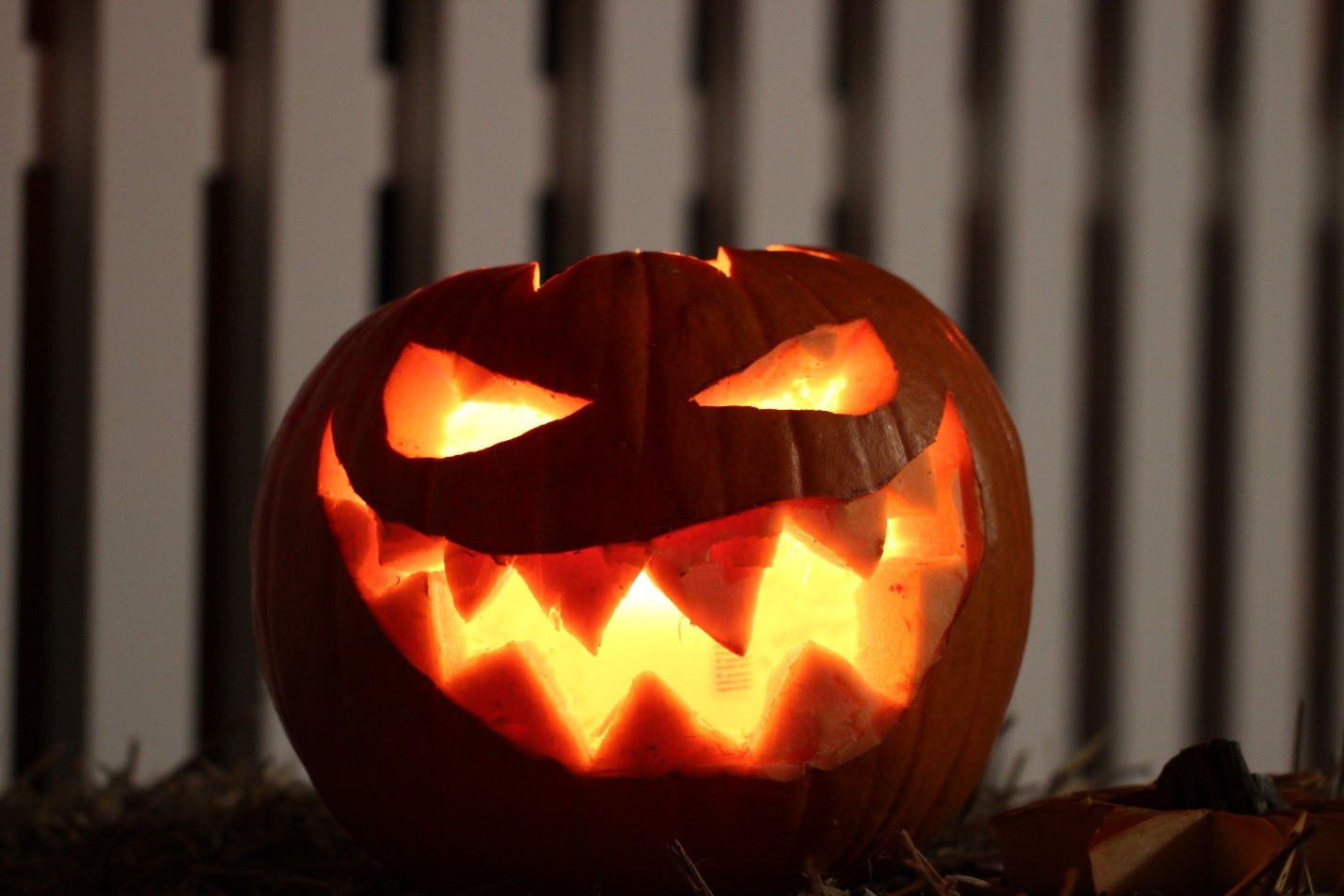 How to Celebrate Halloween in College | ArticleCube