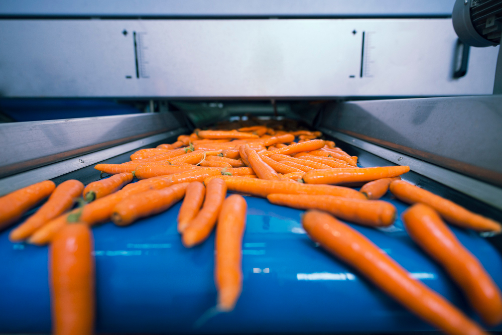 The Amazing Technology Behind Food Transportation | ArticleCube