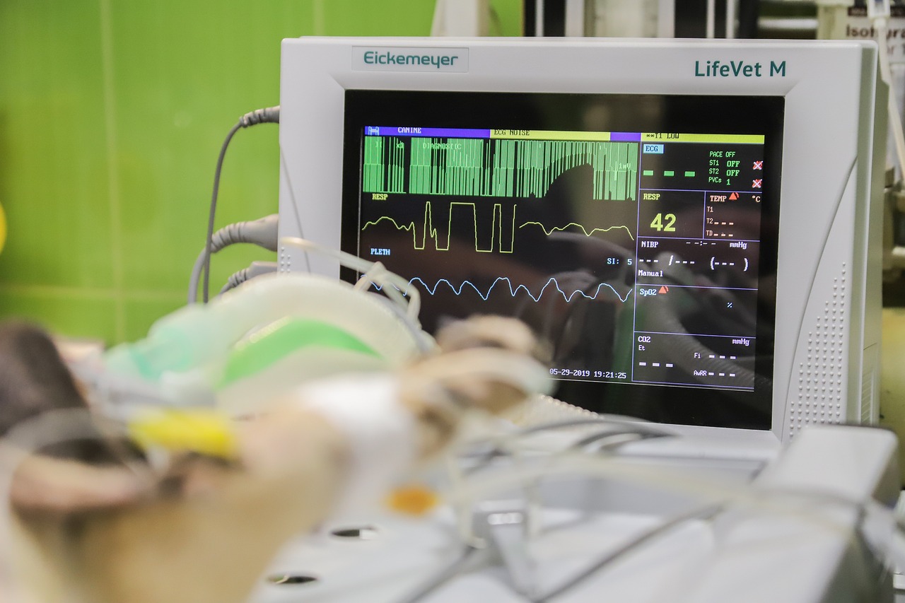 IoT in Healthcare: The Potential of Smart Medical Devices | ArticleCube