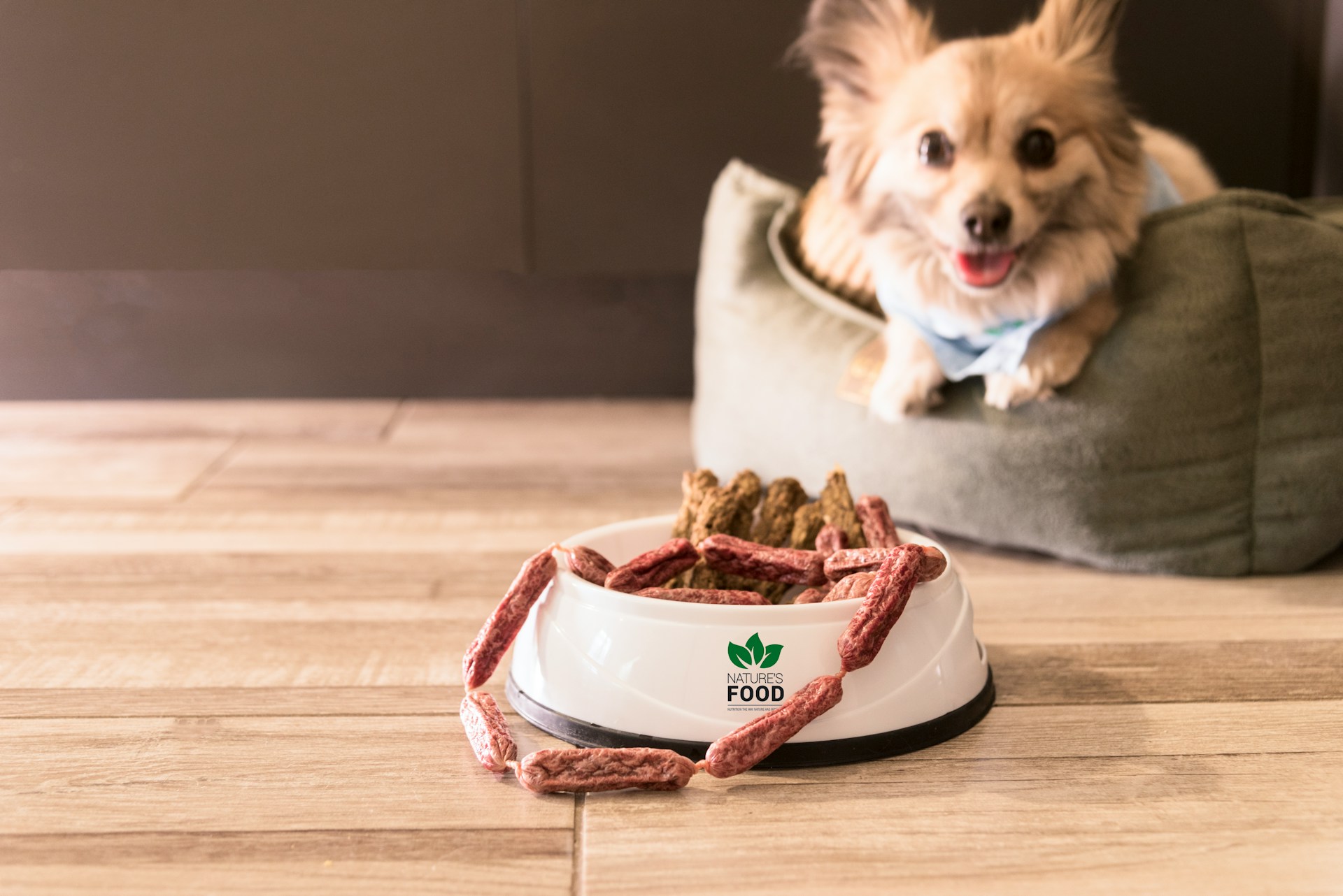 Top Nutritional Trends for Dog Food: What Pet Owners Need to Know ...