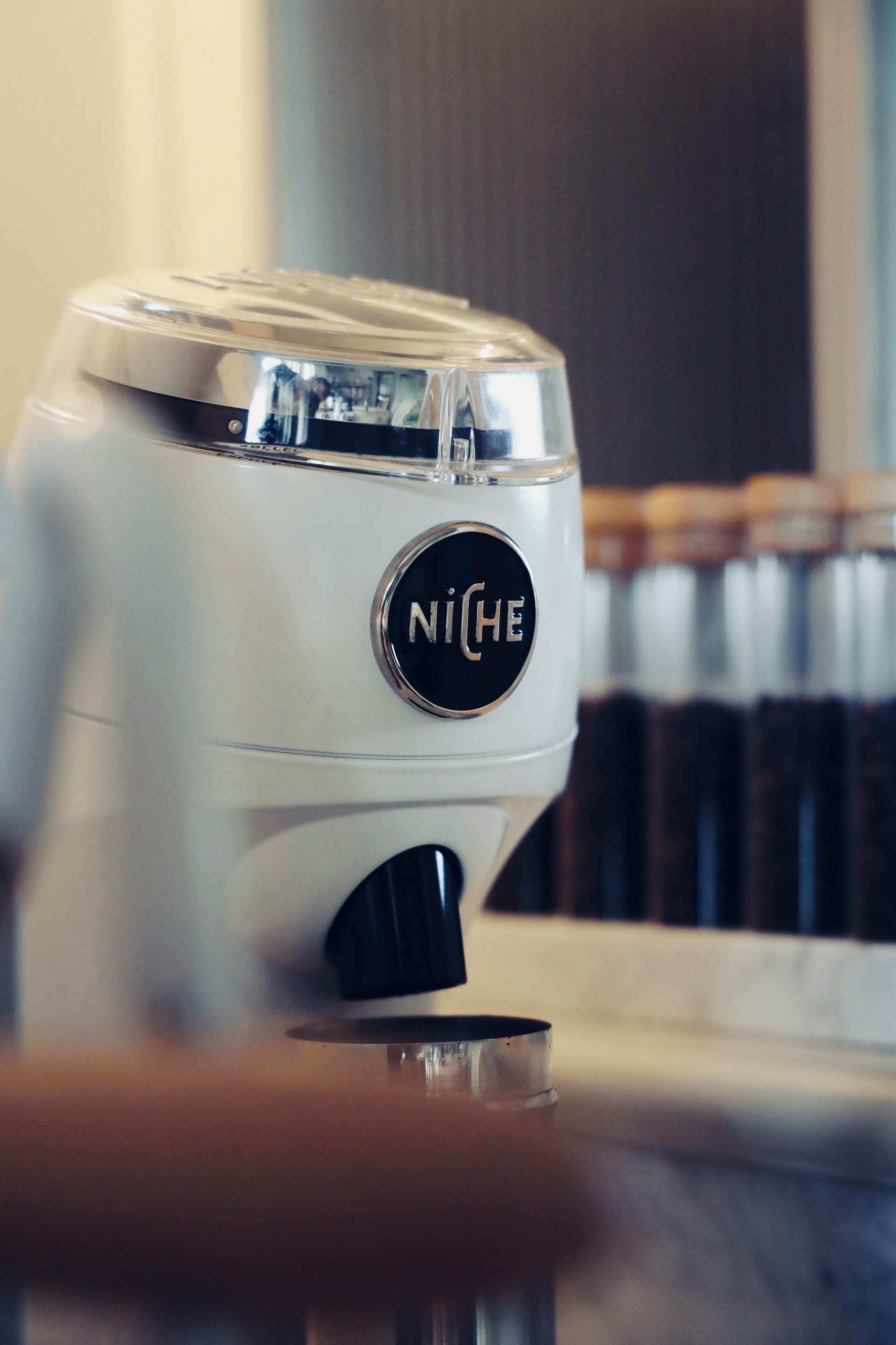 5 Questions to Ask Yourself to Find Your Perfect Niche | ArticleCube